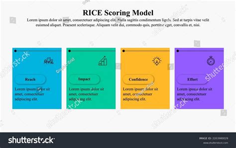 Infographic Presentation Template Rice Scoring Model Stock Vector Royalty Free