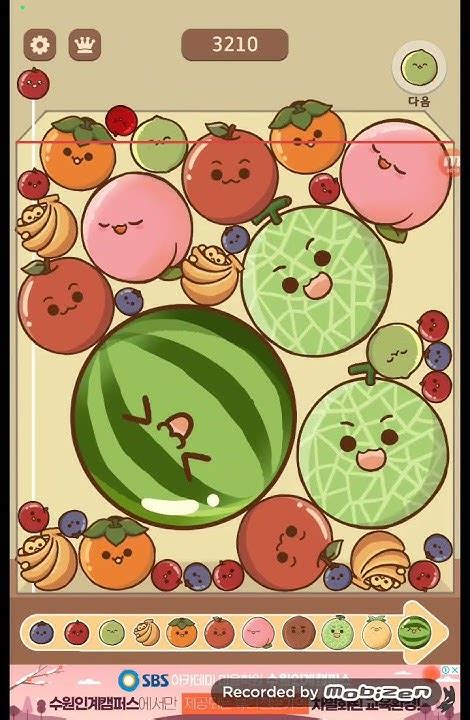 수박 파인애플 멜론 코코넛 복숭아 사과 감 바나나 라임 체리 블루베리 Youtube