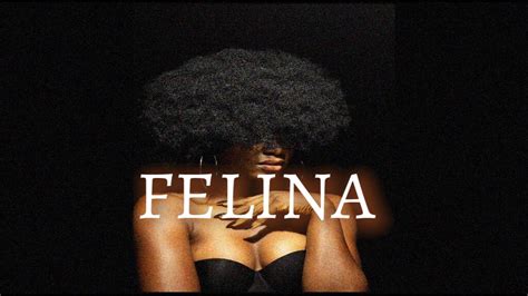 Felina Badoxa X Yudi Fox Type Beat Zouk Tarraxinha 2023 Youtube