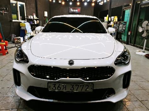 스팅어 프리미엄스팀세차 네이버 블로그