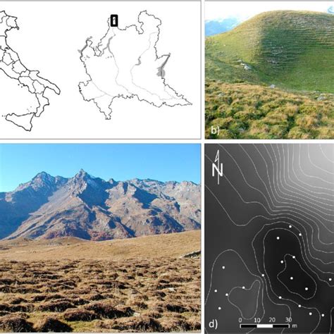 Functional Profiling Through Grimes Csr Model R Ruderal Strategy C Download Scientific
