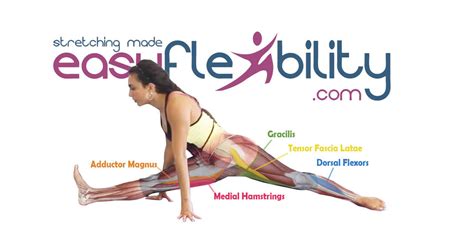 Open Front Splits Beginner Easyflexibility