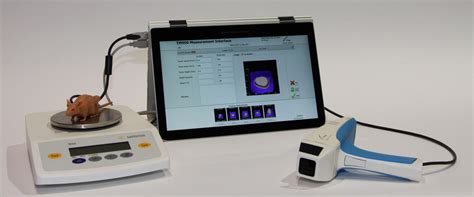 Tumor Volume Measurement Tumor Volume Measurement