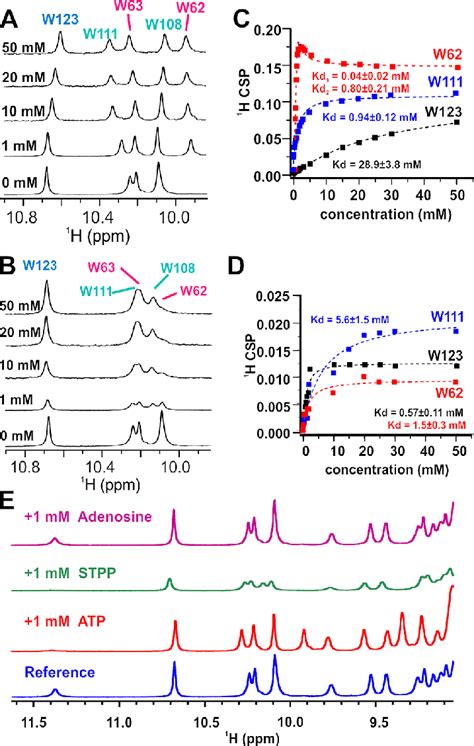 1 H Nmr Evaluation Of Atptpp−lysozyme Interaction A Stack Of Imino