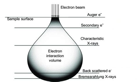 14 Interaction Volume And Signal Emission Download Scientific Diagram