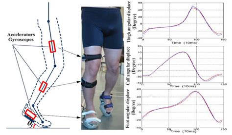 5 Kinematic Measurement Based On Accelerators And Gyroscopes Download Scientific Diagram