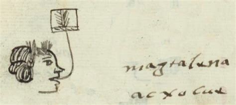 Cueitl Mh632r Visual Lexicon Of Aztec Hieroglyphs