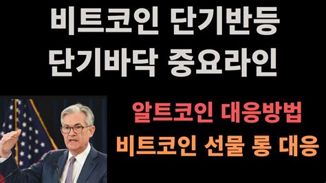 비트코인 단기 바닥 대응 알트코인 대응 Youtube
