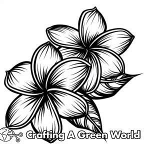 Tropical Flowers Coloring Pages Free And Printable