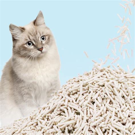 Green Tea Flushable Kitty Litter Low Dust Flushable Clumping Cat Litter