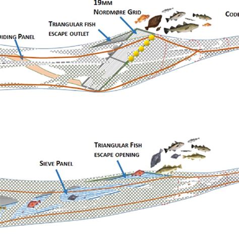 Working Principle Of The Nordmøre Grid Above And A Sieve Panel