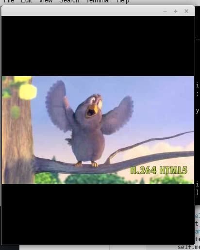 python how to play a mp4 file in wx media stack overflow