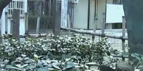 Fragile Teenage Asian Schoolgirl Gets Easily Fooled By Creative