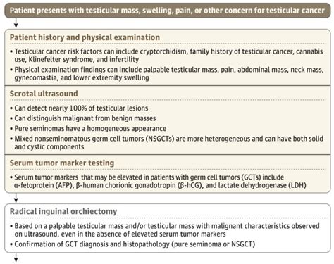 Diego A Díaz García Highlighted Jama Article On Testicular Germ Cell
