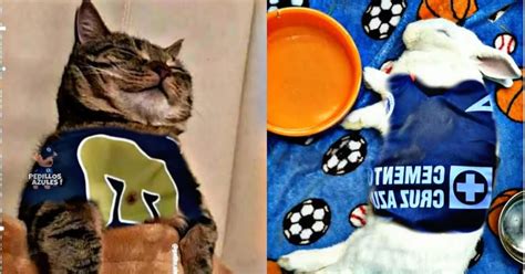 Usuarios En Redes Sociales Reaccionan Con Memes Al Empate Entre Pumas Vs Cruz Azul Infobae