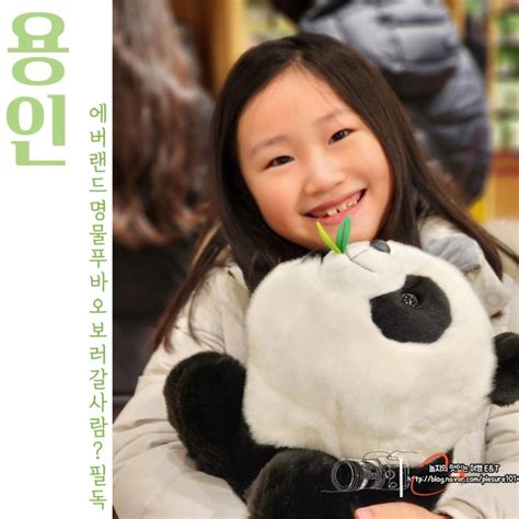 에버랜드 판다월드 푸바오 예약 굿즈 시간 최신정보 네이버 블로그