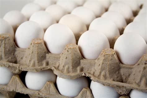 Food Alert Disease Causing Bacteria Prompts Massive Egg Recall What