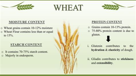 Properties Of All Cereal Grains Pptx