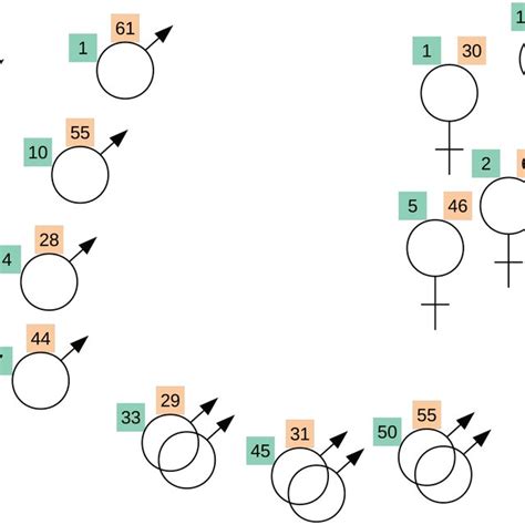 Example Of Nodes Labeled On The Left Are The Heterosexual Men On The Download Scientific