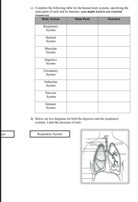 Nervous System Parts And Functions Table