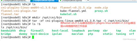 K8s 部署 Cni 网络组件cni网络组建 Csdn博客