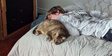 Twitch Streamer Xqcs Sleeping Habits Concern Fans