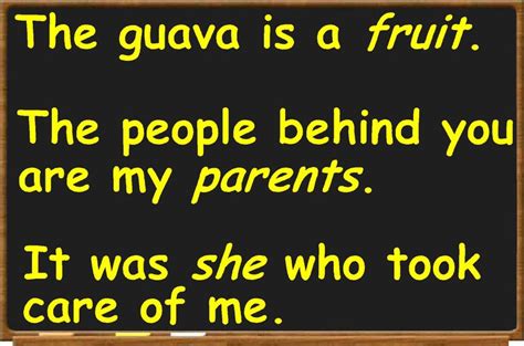 What Are Predicate Nominatives