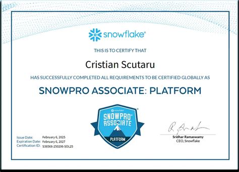 Snowflake Cortex Function 6 — Summarize By Alexander Snowflake