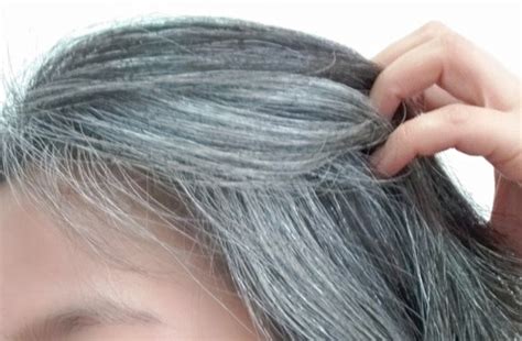 40대 흰머리 기르기 남들보다 빨리 난 흰머리 네이버 블로그
