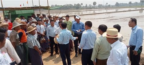 စိုက်ပျိုးရေး၊ မွေးမြူရေးနှင့် ဆည်မြောင်းဝန်ကြီးဌာန၊ ဒုတိယဝန်ကြီးဒိုက်ဦးမြို့နယ်အတွင်းရှိ စိုက်ပ