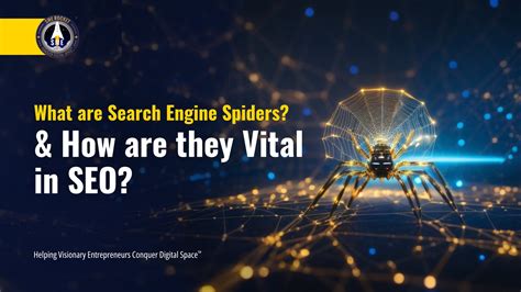 What Are Search Engine Spiders And How Are They Vital In Seo