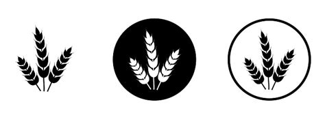 밀 귀 아이콘 세트입니다 밀 로고입니다 곡물 스파이크는 아이콘을 설정합니다 그레인 아이콘입니다 농업 상징입니다 벡터 일러스트 레이 션 농업에 대한 스톡 벡터 아트 및 기타