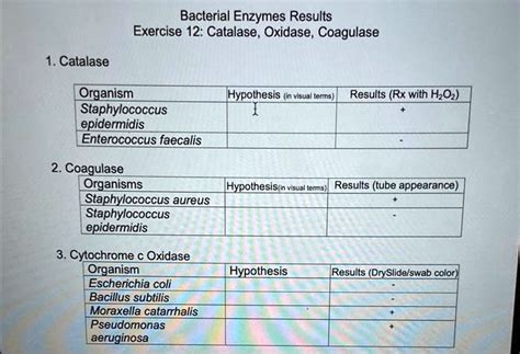 Solved Bacterial Enzymes Results Exercise 12 Catalase Oxidase Coagulase 1 Catalase Organism