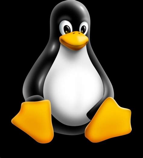 Как узнать версию Linux основные команды