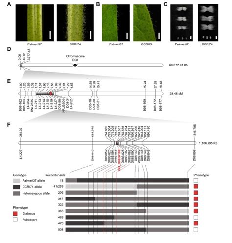 农学院硕士生在《plant Physiology》发表学术论文 浙江农林大学