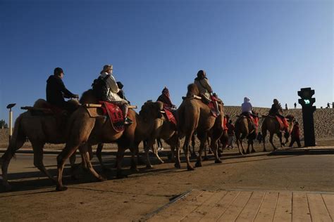 ไฟจราจรอูฐ จัดระเบียบการสัญจรพื้นที่ชมวิวในกานซู่