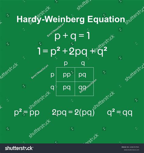 Hardyweinberg Principle Known Hardy Weinberg Equilibrium Stock Vector
