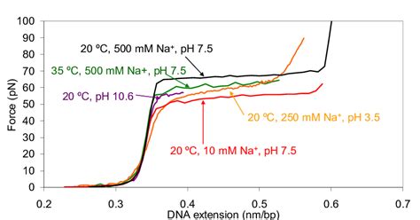 Force Extension Curves For Single Molecules Of Dsdna Red Triangles