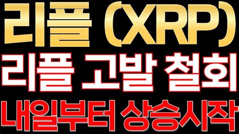 리플xrp 또 쏜다 Sec 소송철회 확정 1월20일 까지 존버 🔥 리플코인 비트코인 도지코인 스텔라루멘 트럼프 일론머스크 Sec 🔥 Youtube