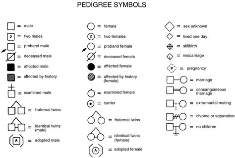 Genogram Symbols In Social Work Wordsfess