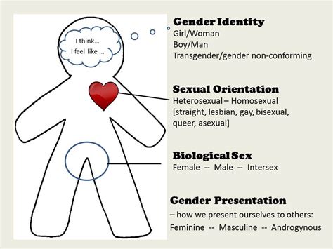Sexo e Intimidade O que é Gênero qual a diferença entre Gênero e Sexo