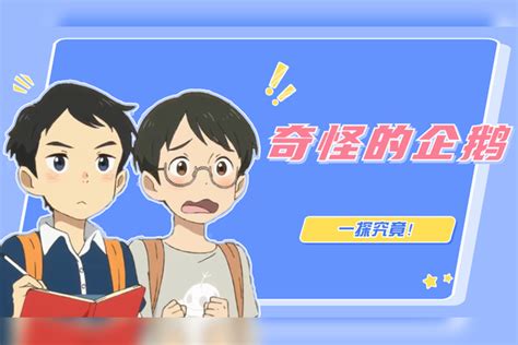 企鹅公路空地上为何出现企鹅是不是真的企鹅一起来寻找答案