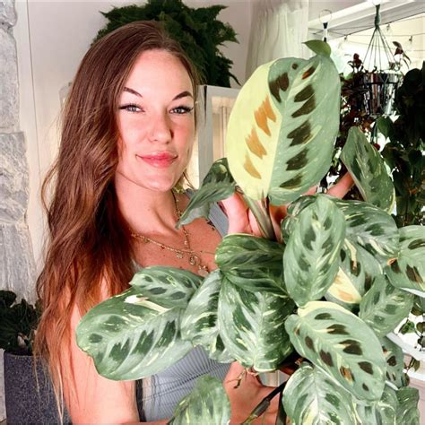 Bising Production Bukit Mertajam