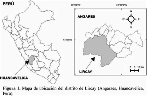 Diversidad De Las Gramíneas Poaceae De Lircay Angaraes Huancavelica