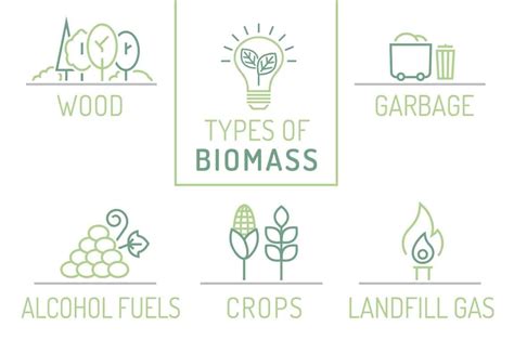 Types Of Biomass Energy An Overview Of The Different Forms And Their Unique Benefits Power