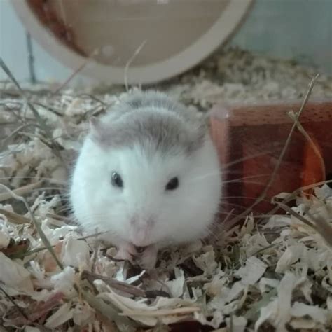 Make A Custom Minecraft Texturepack By Erdbudler Fiverr