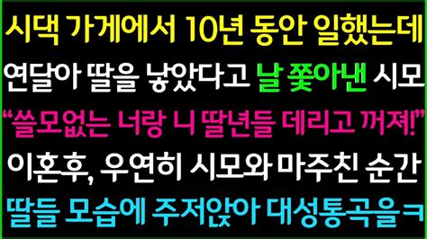 사이다 시댁 가게에서 10년 동안 일했는데 딸만 줄줄이 낳았다고 날 쫓아낸 시모 이혼 후에 우연히 시모와 마주친 순간 딸들 모습을 보고 주저앉아 대성통곡을 하는데ㅋ