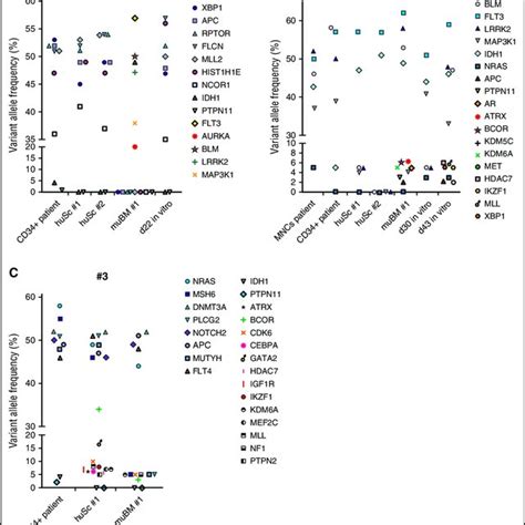 Mouse Xenograft Aml Model Using Sample Aml 2 A Download Scientific Diagram
