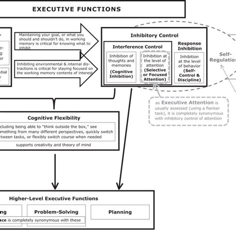 Executive Functions Download Scientific Diagram