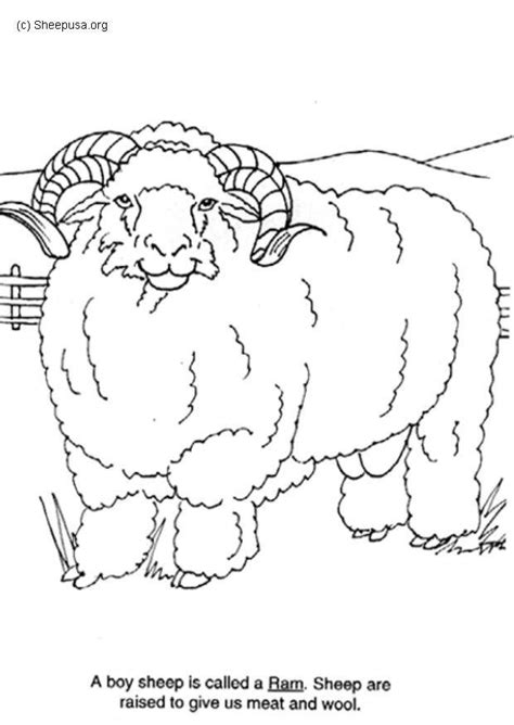 Dibujos Para Colorear De Carnero Dibujos Para Colorear De Ovejas